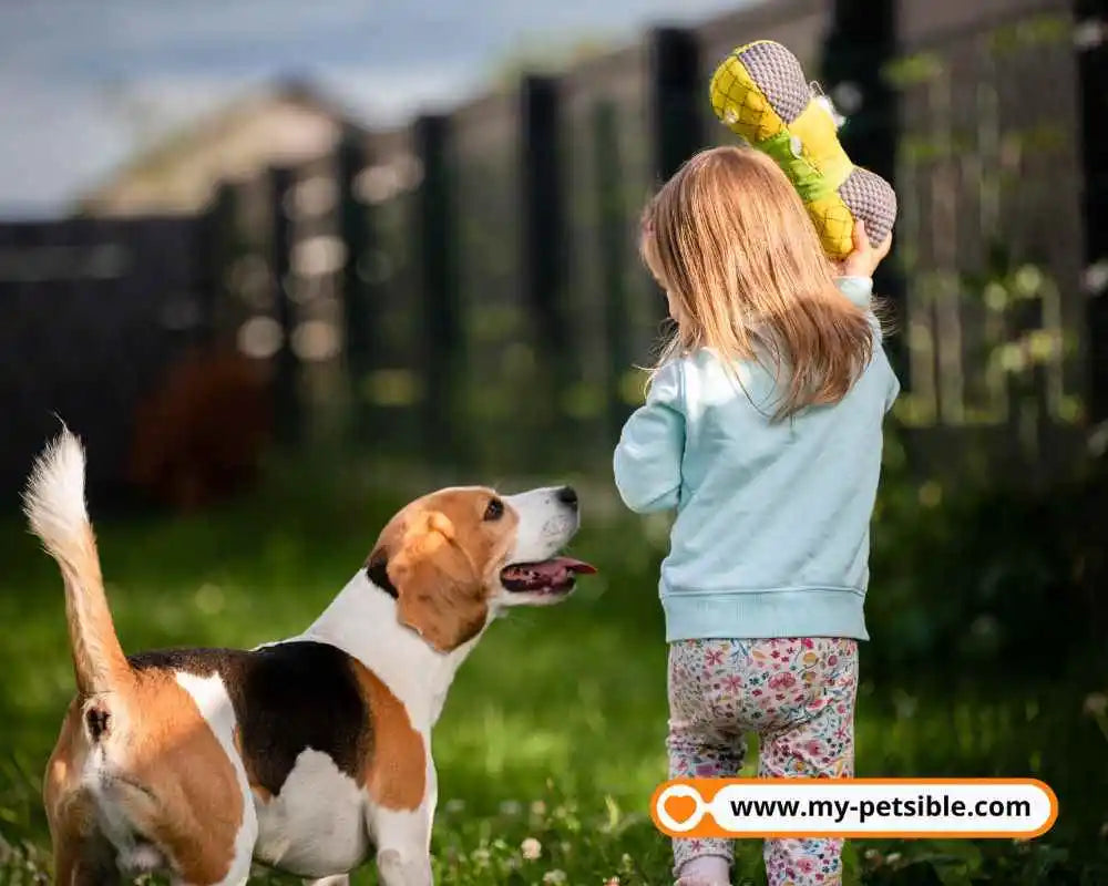 Understanding Dog Play Behavior: How Dogs Play and What It Means – My ...